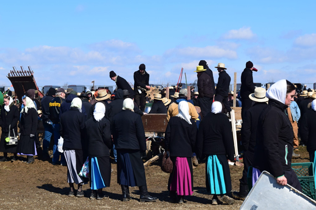 All About Mud Sales | Amish Farm And House