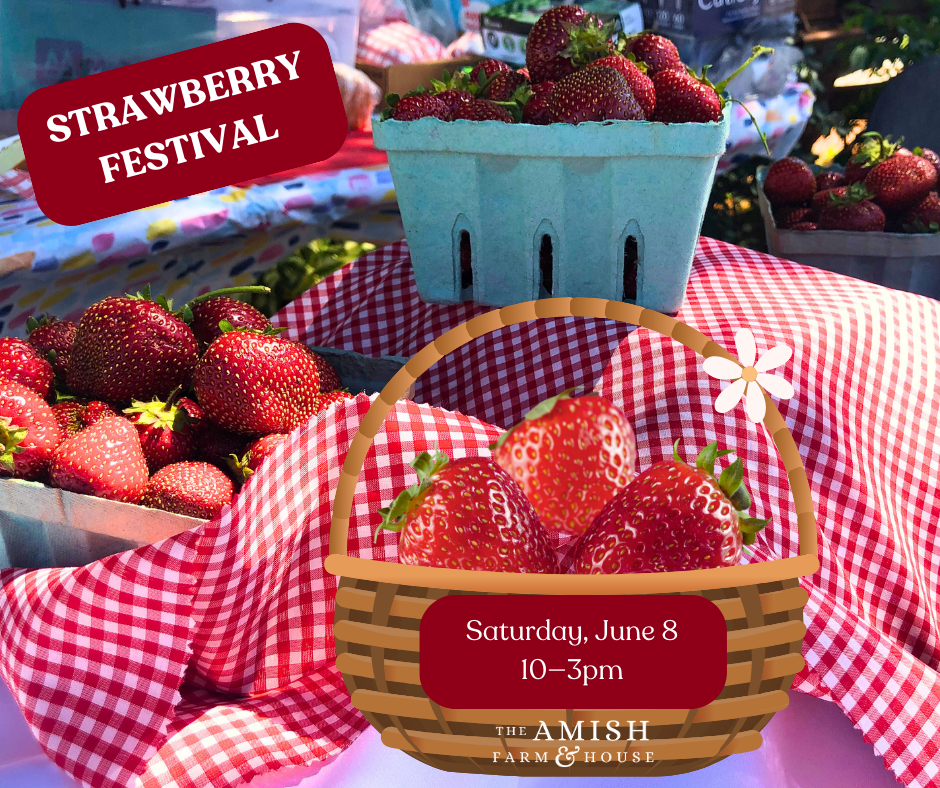 Strawberry Festival Lancaster, PA | Amish Farm and House