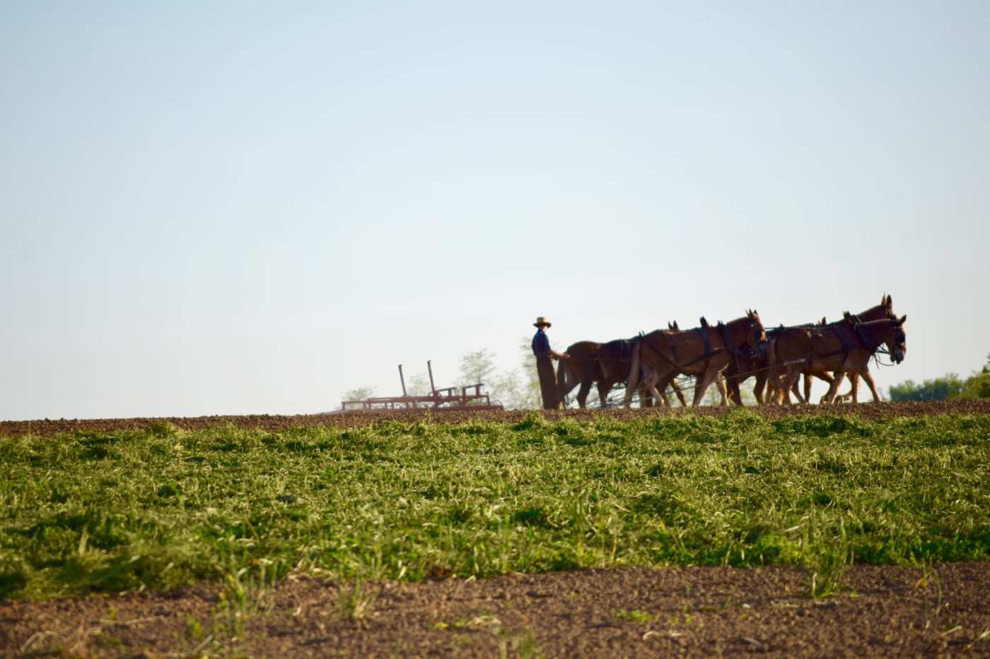 5 Reasons To Visit Amish Country This Spring | Amish Farm And House